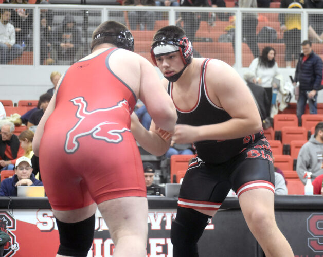 Hudson’s big pin gives Big Red share of D2 district title | News ...